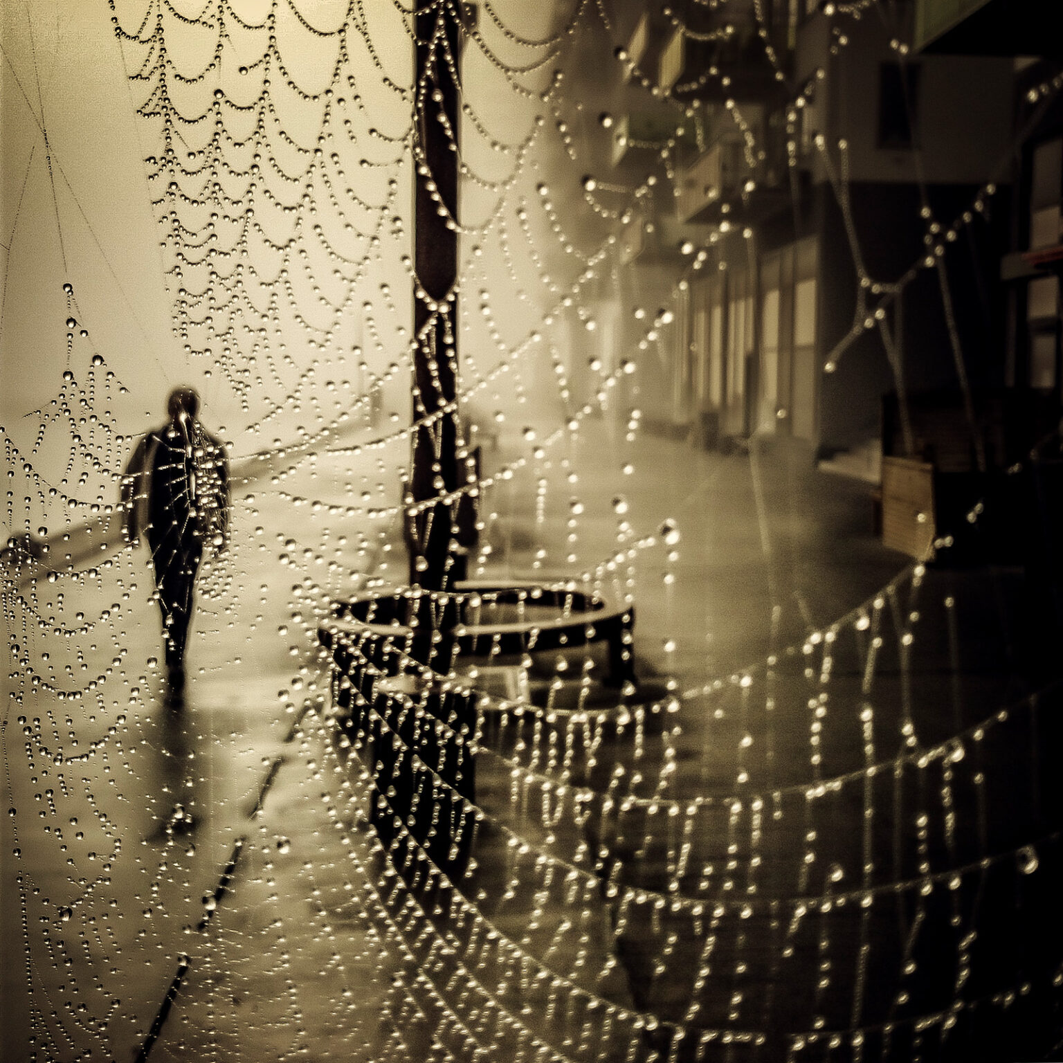 Early morning at the harbor – hasse persson